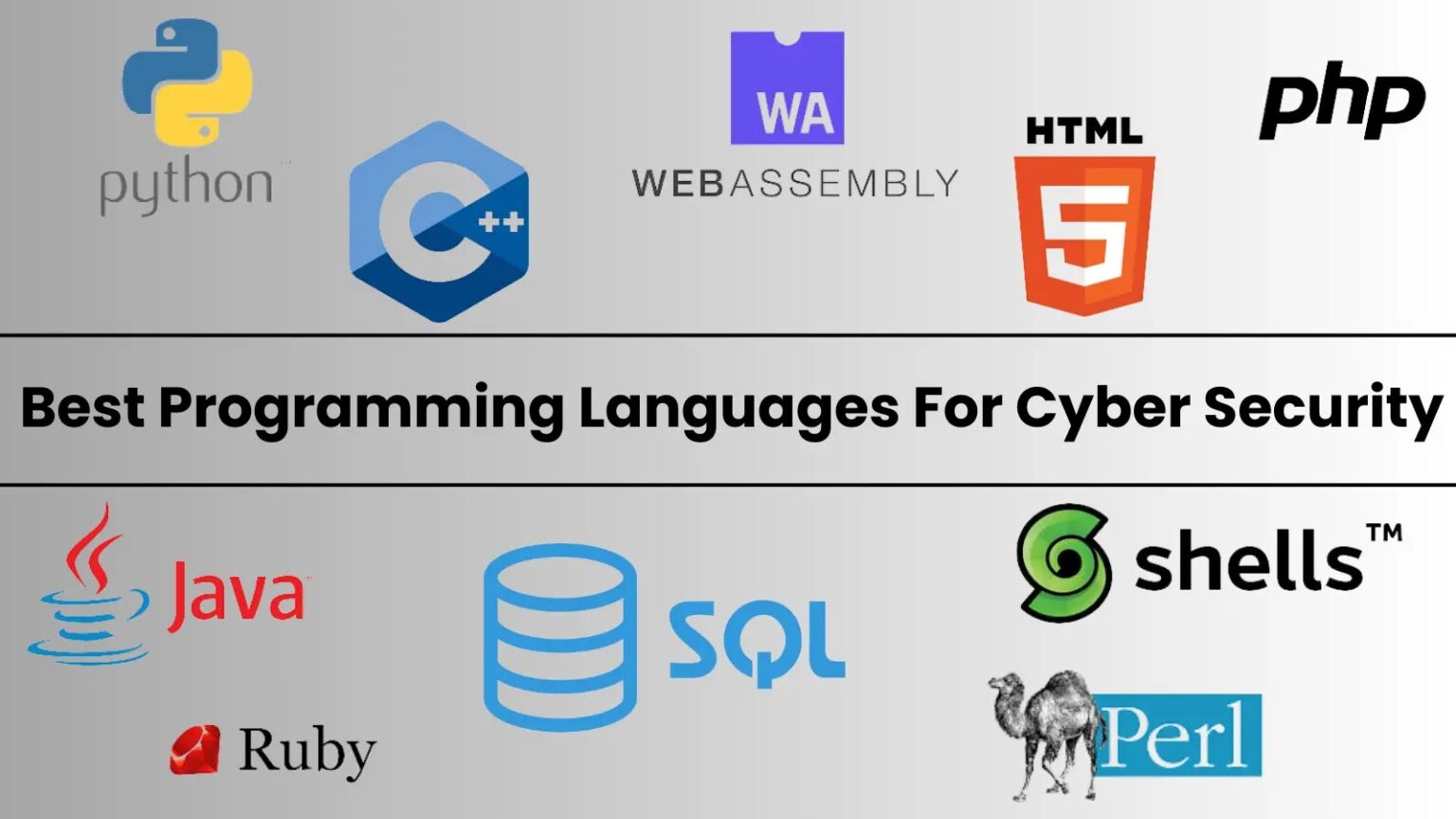 What Coding Language Should I Learn for Cyber Security? - Cyber Security Consulting Services ...
